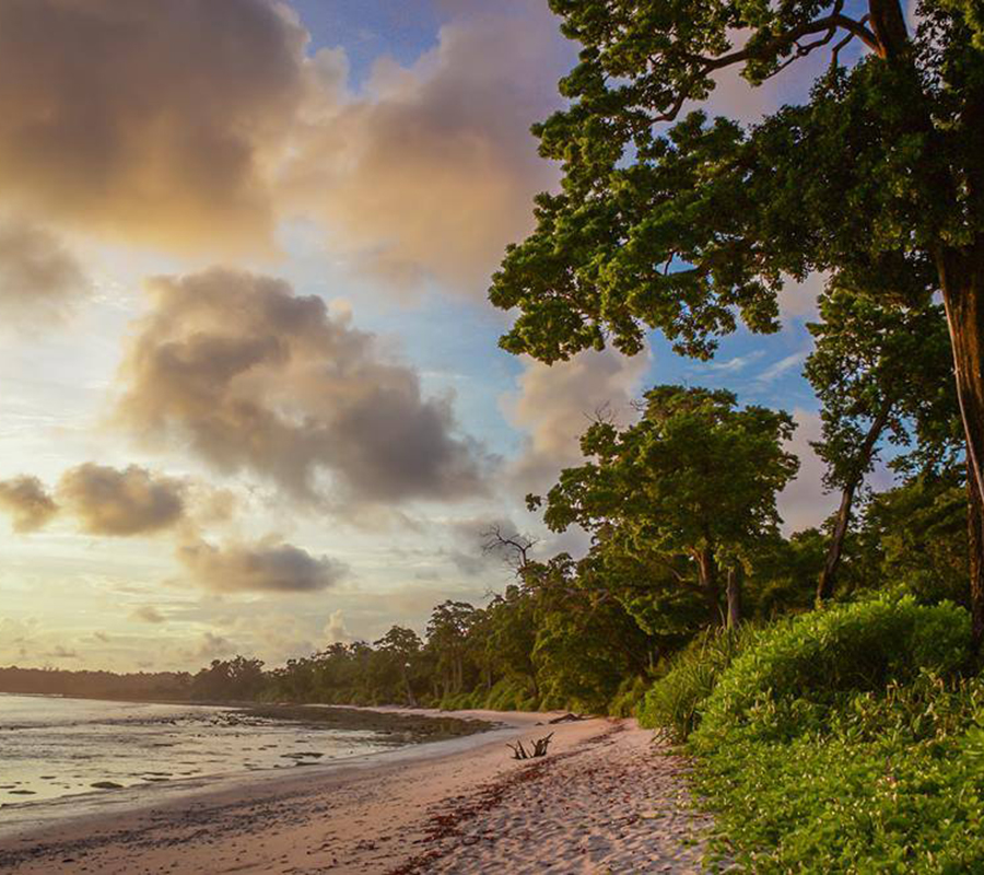 About Andaman | Andaman Diaries