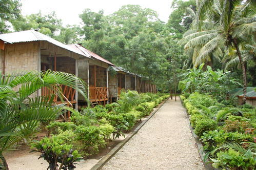 Neil Island Hotels | Andaman Diaries